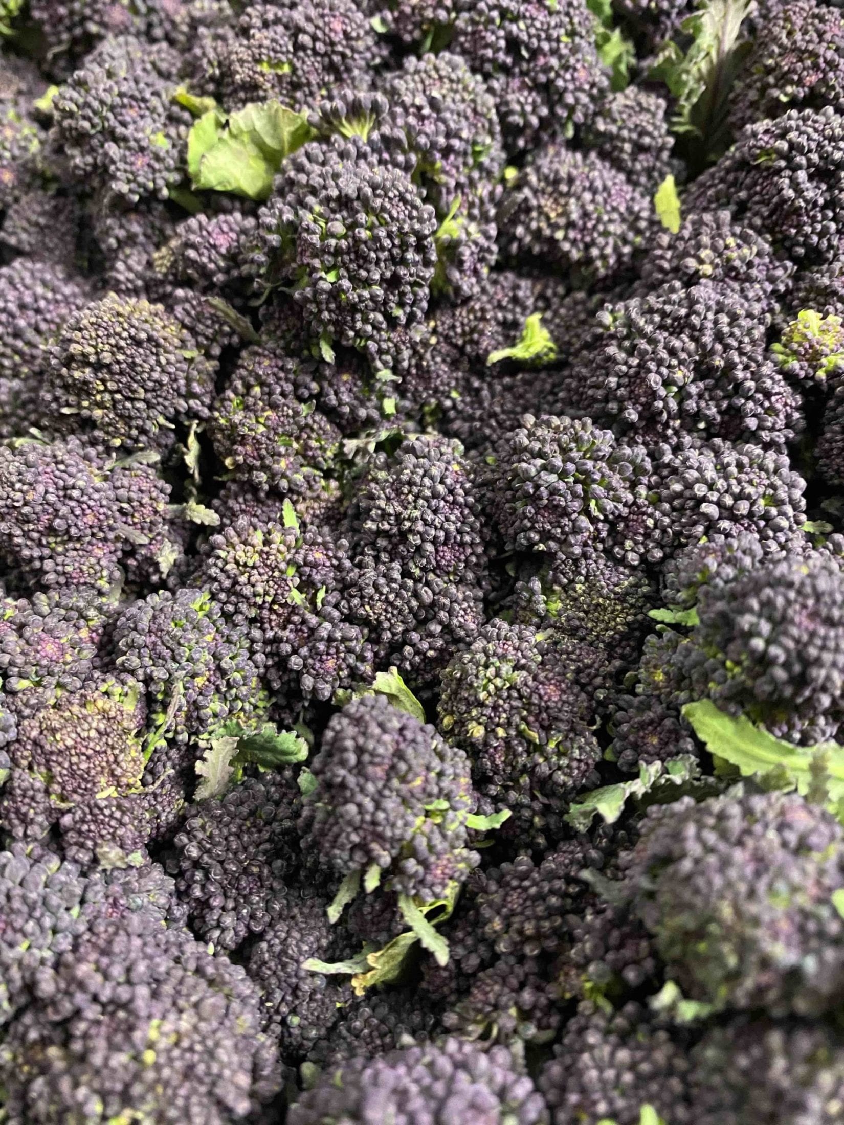 Purple Sprouting Broccoli, English - 250g - Cambridge Fruit Company