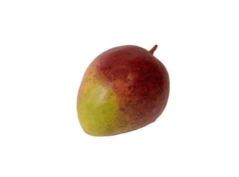Mango - Cambridge Fruit Company